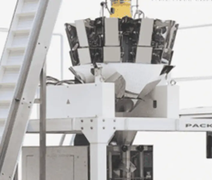 Multi Head Weigher